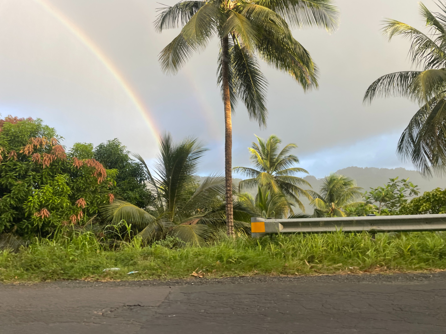 Alien Land Holding License in St. Lucia, Caribbean